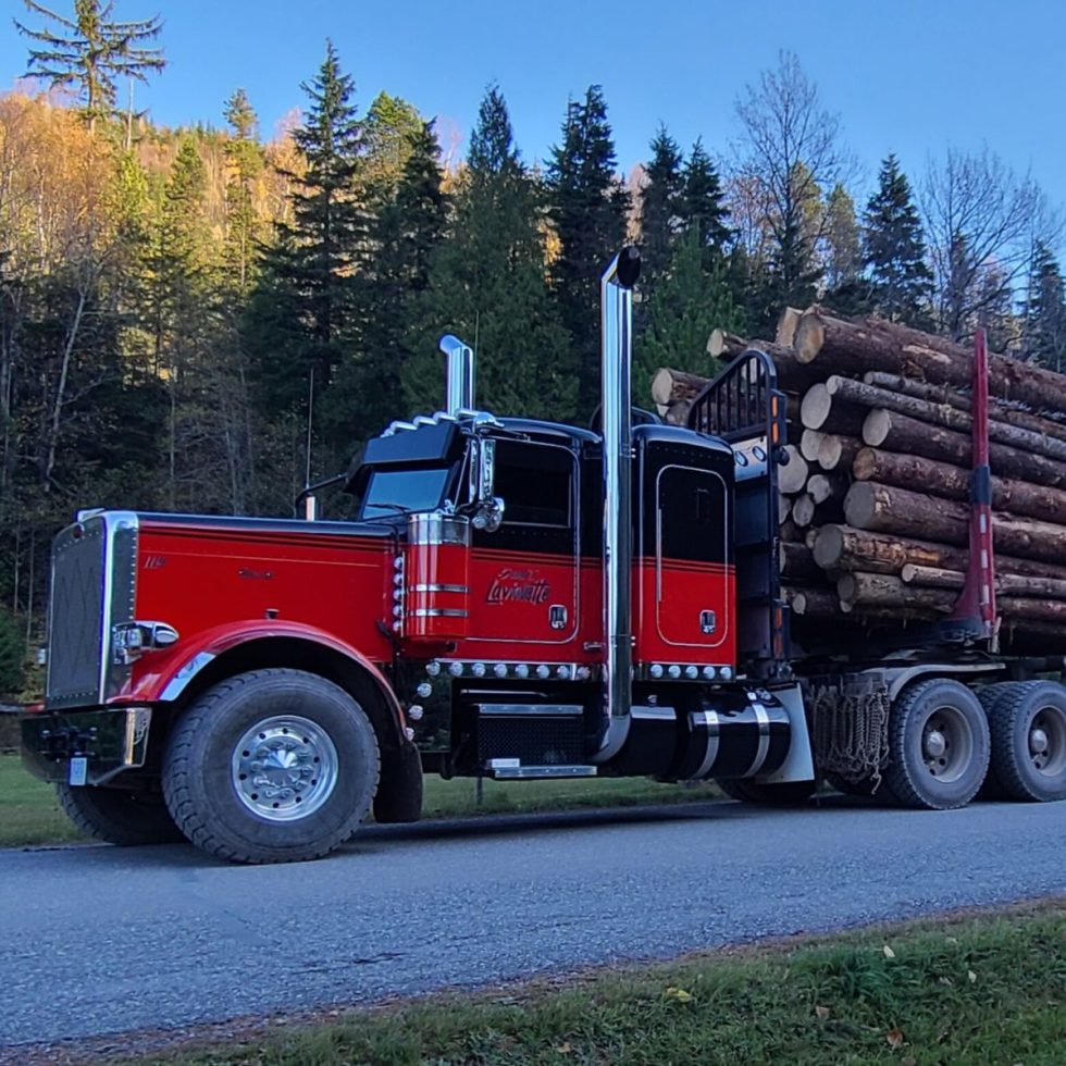 Entrepreneurs | All Nations Trust Company